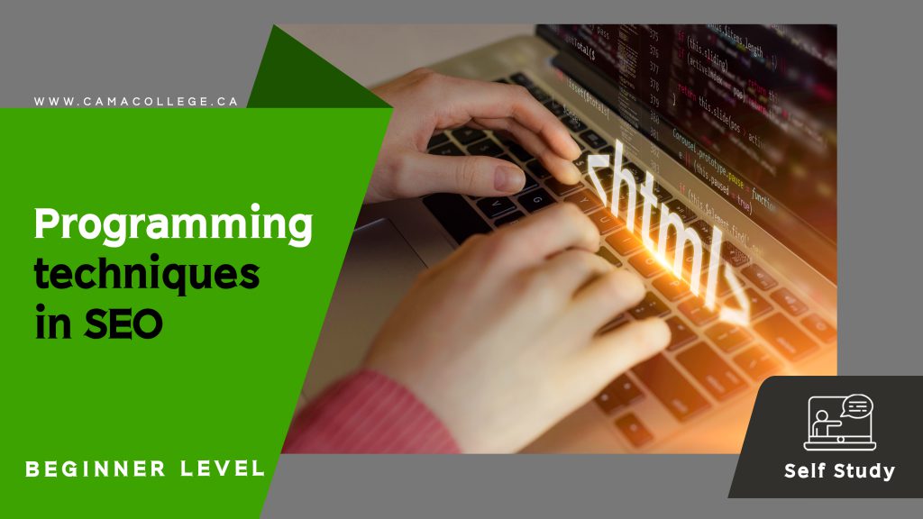 Programming Techniques in SEO – Beginner - CAMA College